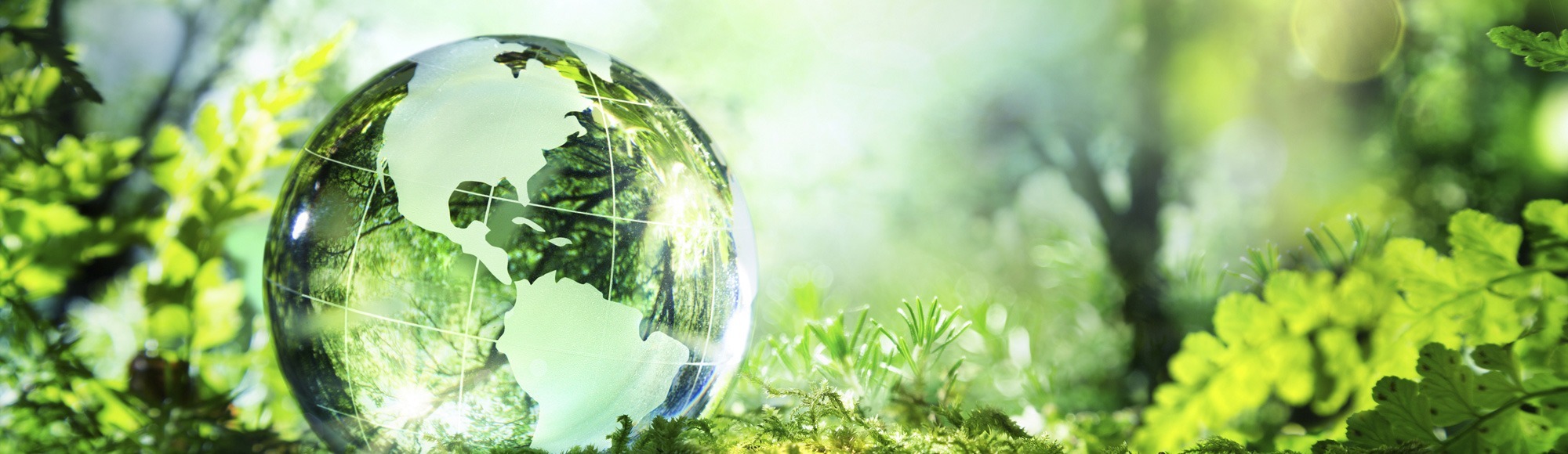 Chieftain Environmental & Energy Policy - Chieftain Training