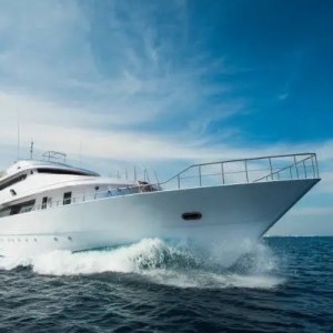 Fast-Track Programmes - Chieftain Training